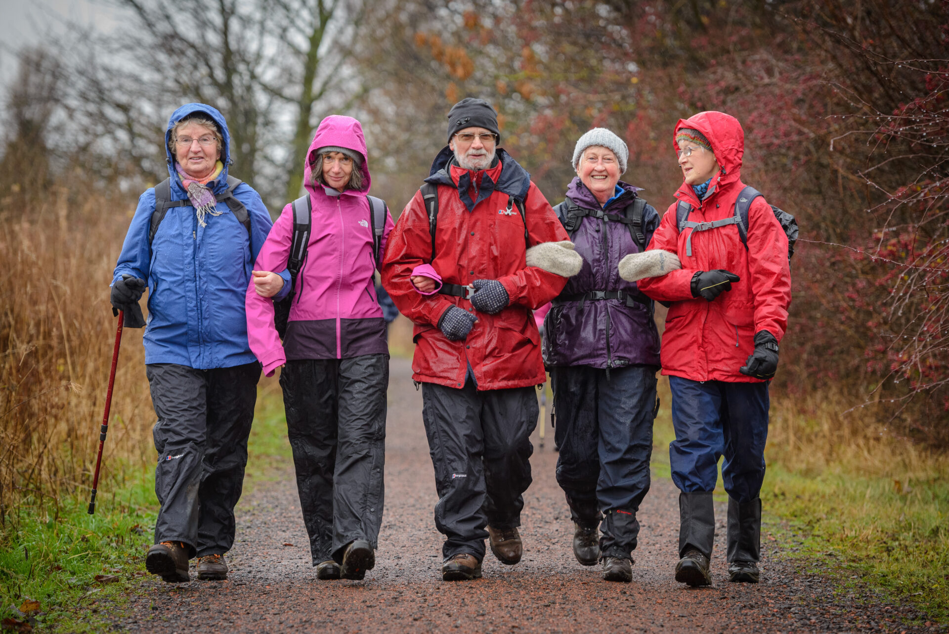 Walking (Easy, Social) - Flintshire